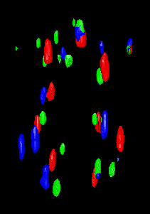 Chromosome Organization in Drosophila