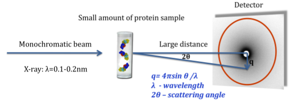Protein Modeling by Satisfaction of Spatial Restraints