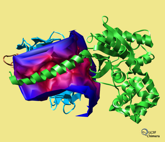 Chimera Image Gallery