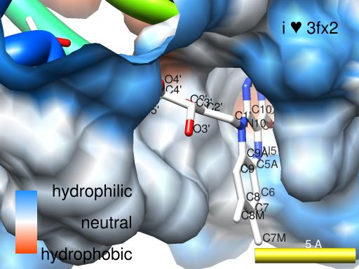 Publication-Quality Images with UCSF Chimera