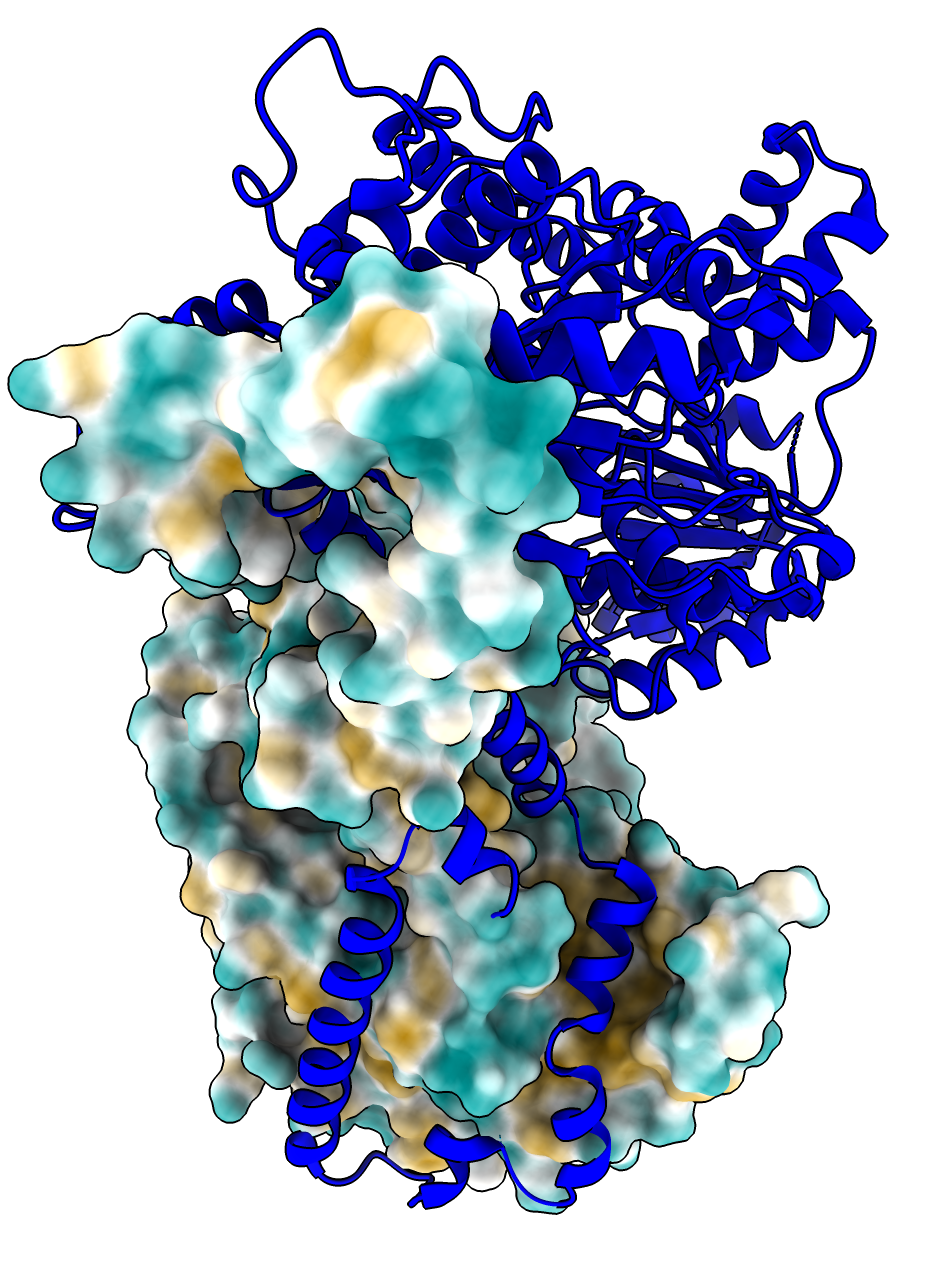 Gene silencing AlphaFold complexes