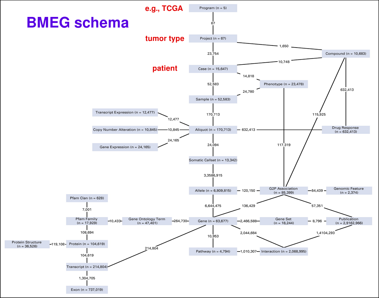 Paper Summary: BioMedical Evidence Graph